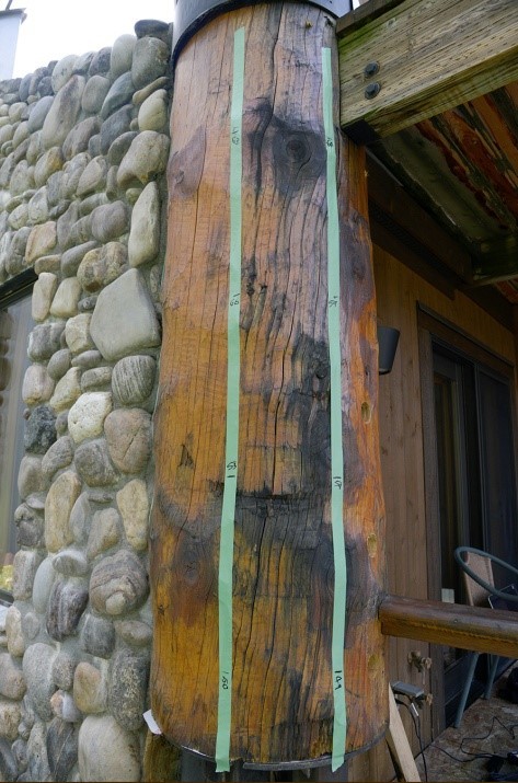 timber_testing_services_examples_5 - Dunster and Associates